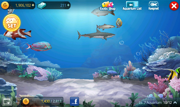 [รีวิวเกม] Fish Island เกมตกปลาสุดแบ๊ว ที่โด่งดังในเกาหลี มาให้โหลดกัน ...